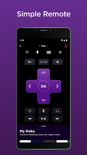 The Roku App - WebOfApps